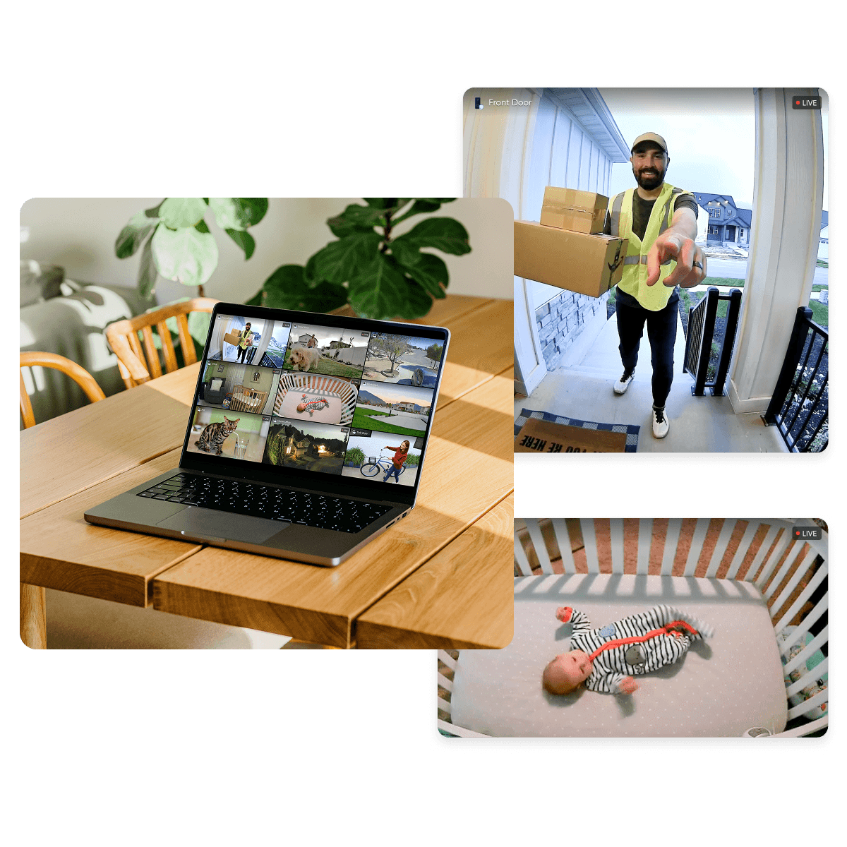 Wyze Web Portal